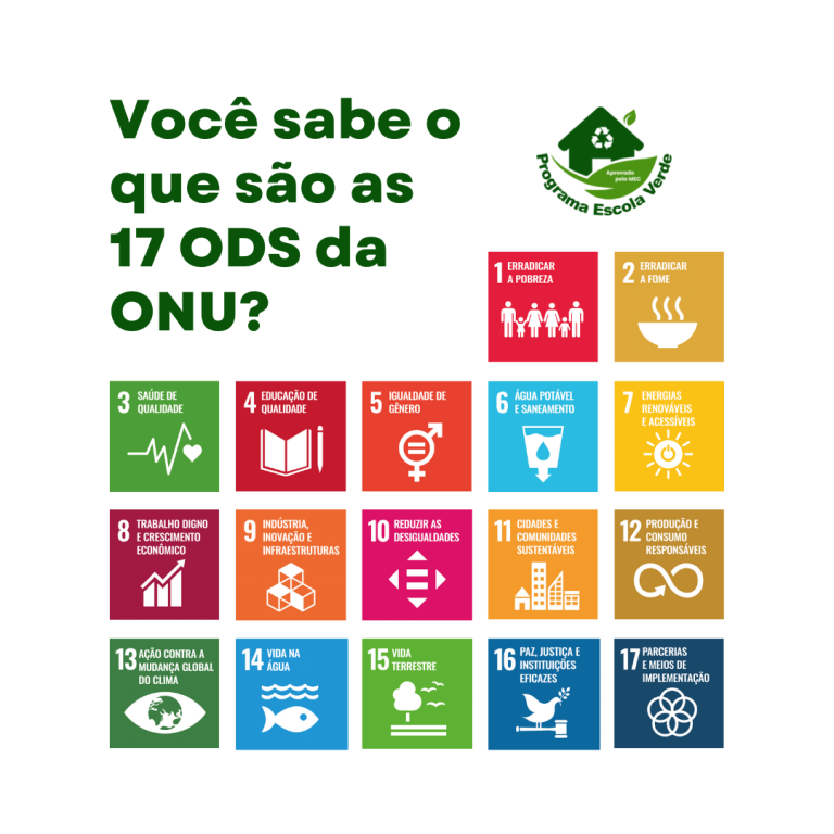 VOCÊ SABE O QUE SÃO AS 17 ODS DA ONU? 🌍 – Programa Escola Verde