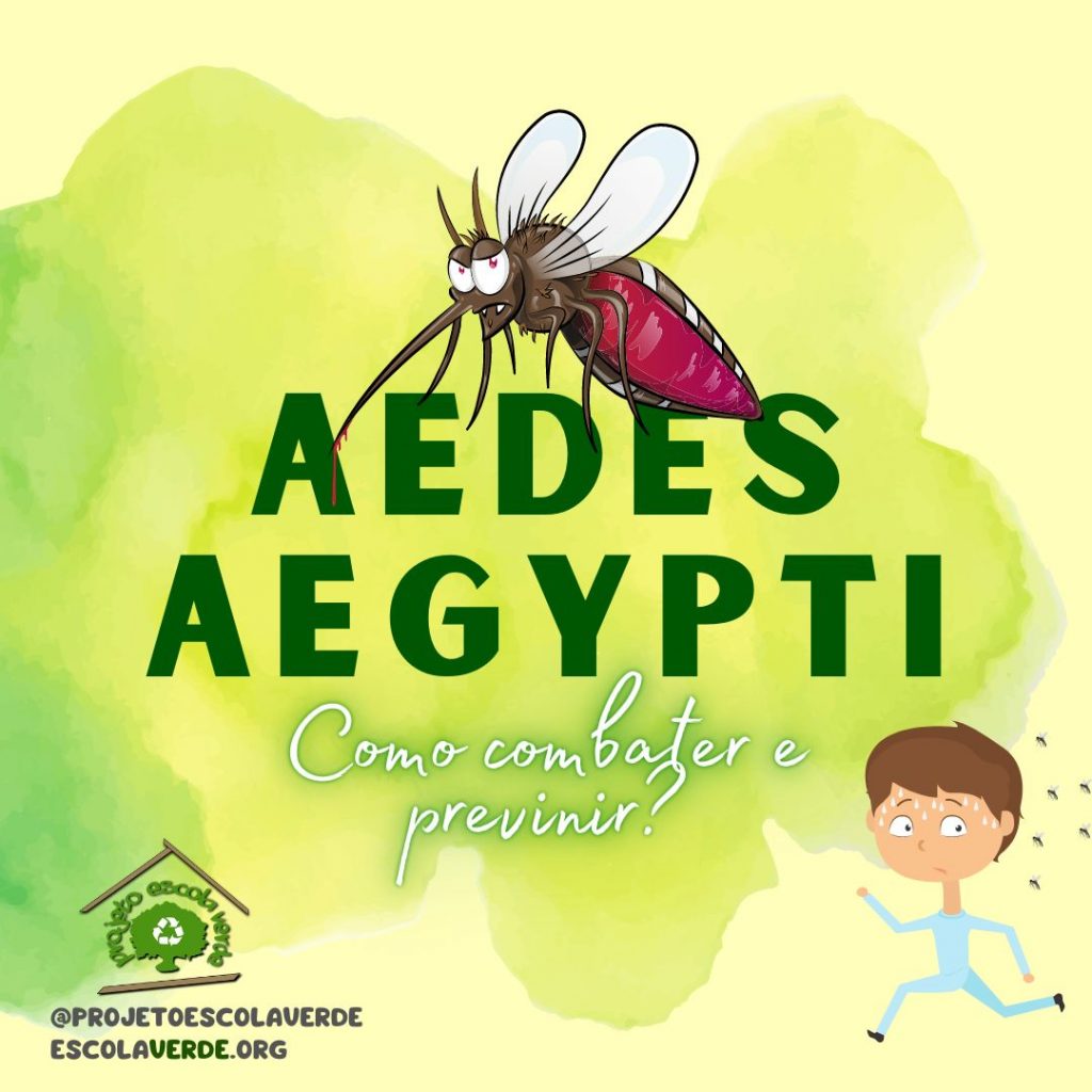 AEDES AEGYPTI – COMO COMBATER E PREVENIR? 🦟 – Programa Escola Verde